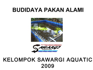 Budidaya pakan alami | PPT