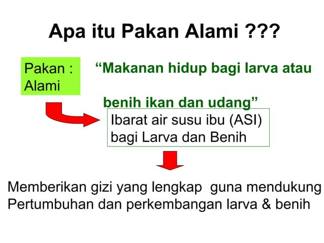 Budidaya pakan alami | PPT