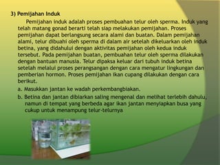 Budidaya pembenihan ikan hias | PPTX