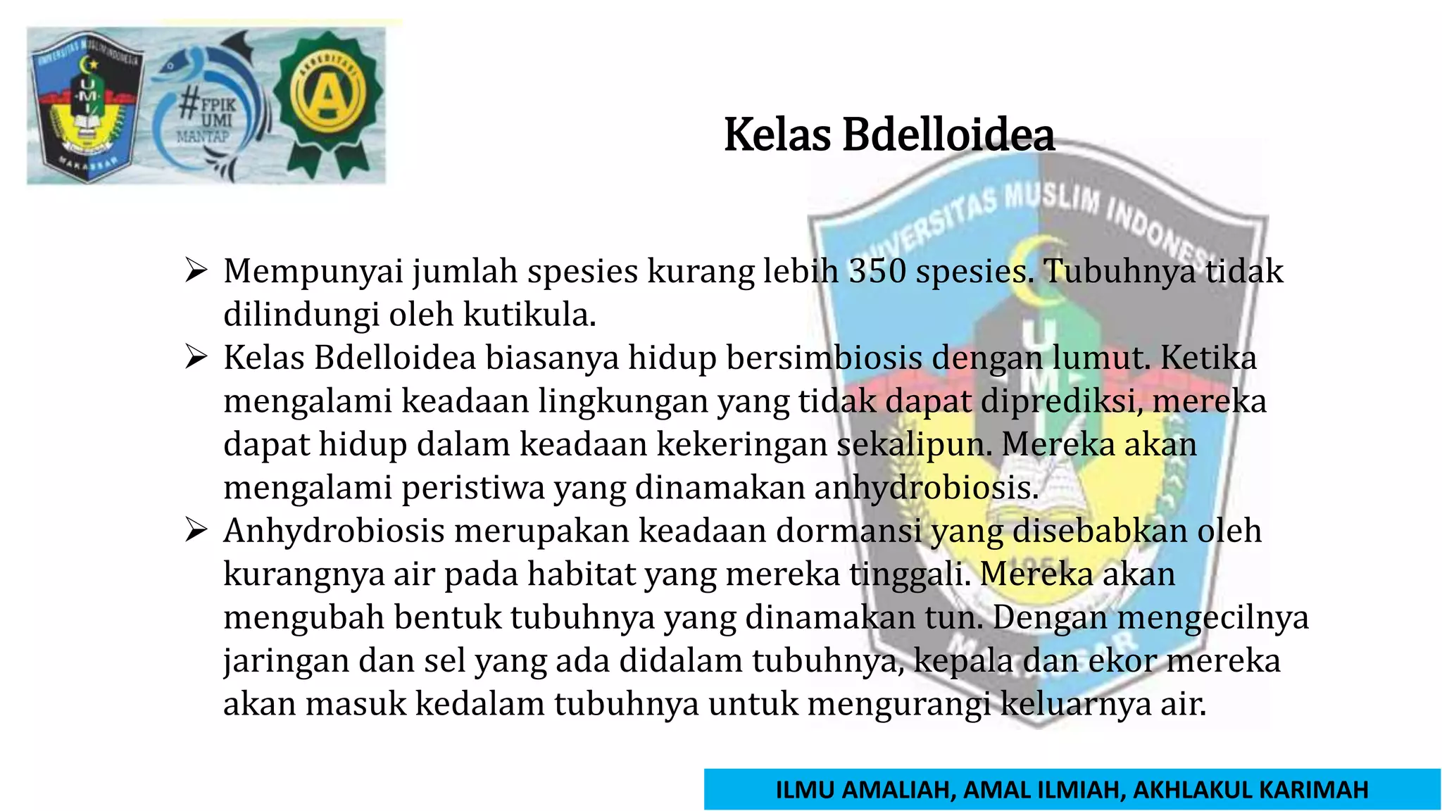 Budidaya Rotifera Brachionus sp.pptx