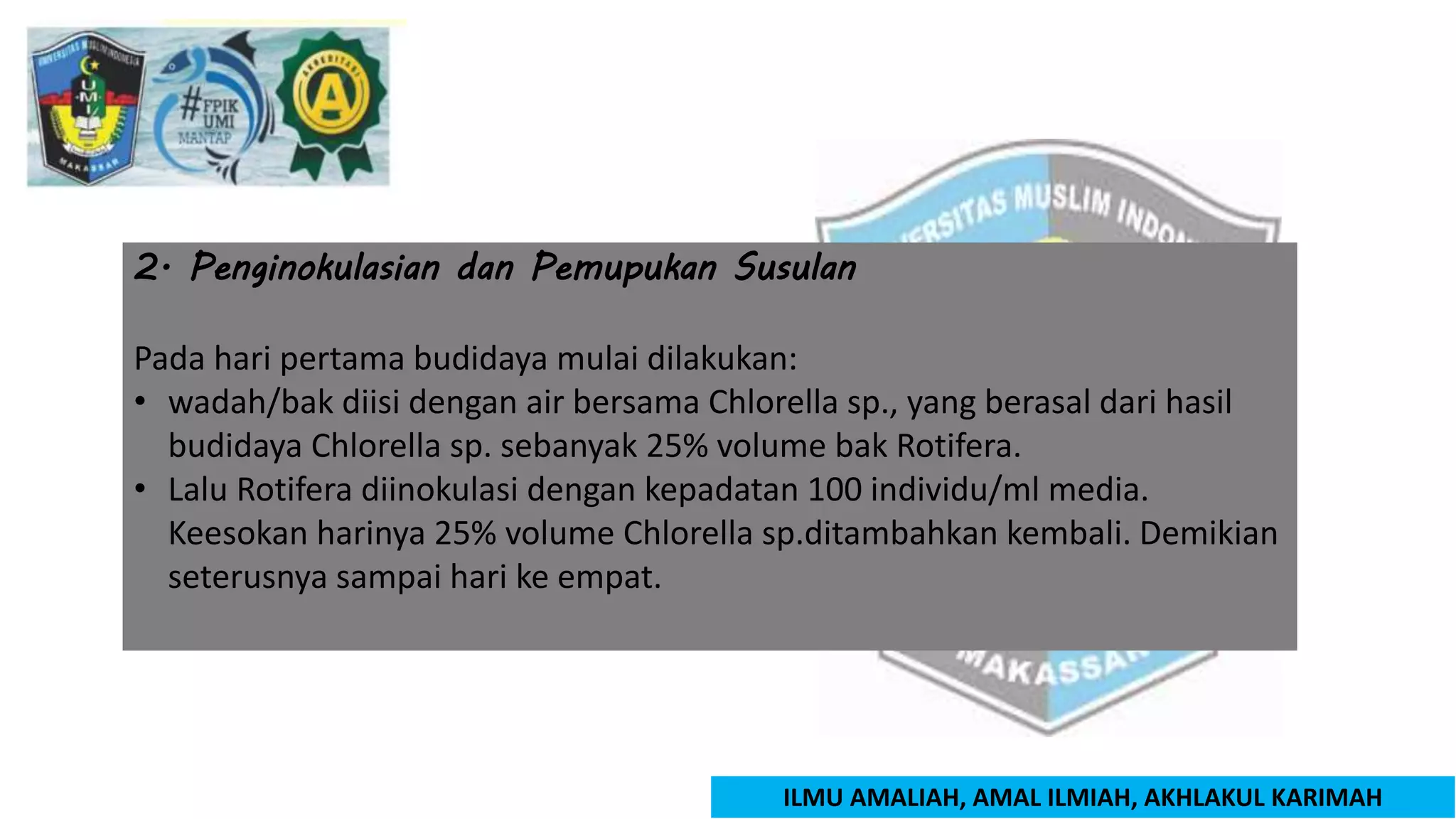 Budidaya Rotifera Brachionus sp.pptx