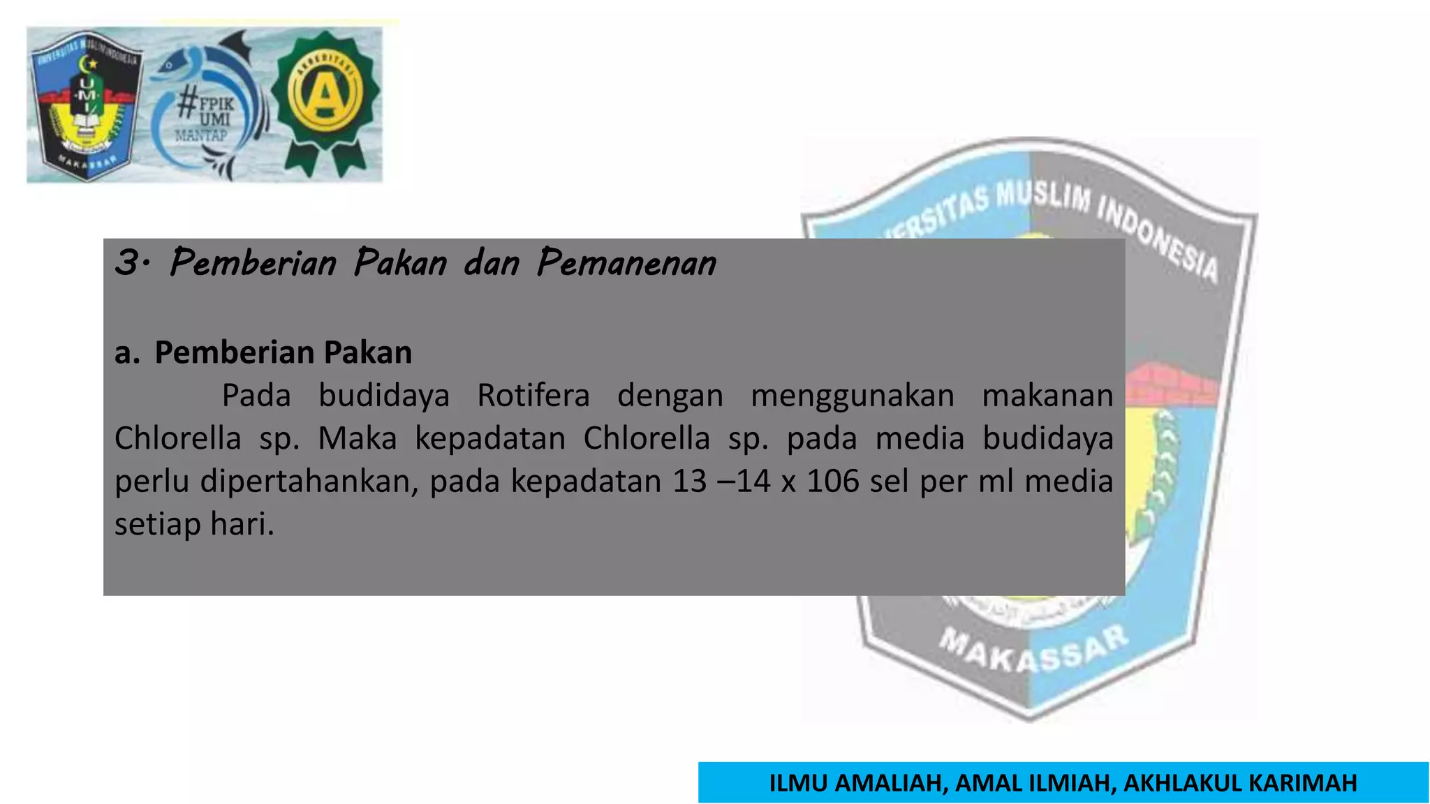 Budidaya Rotifera Brachionus sp.pptx