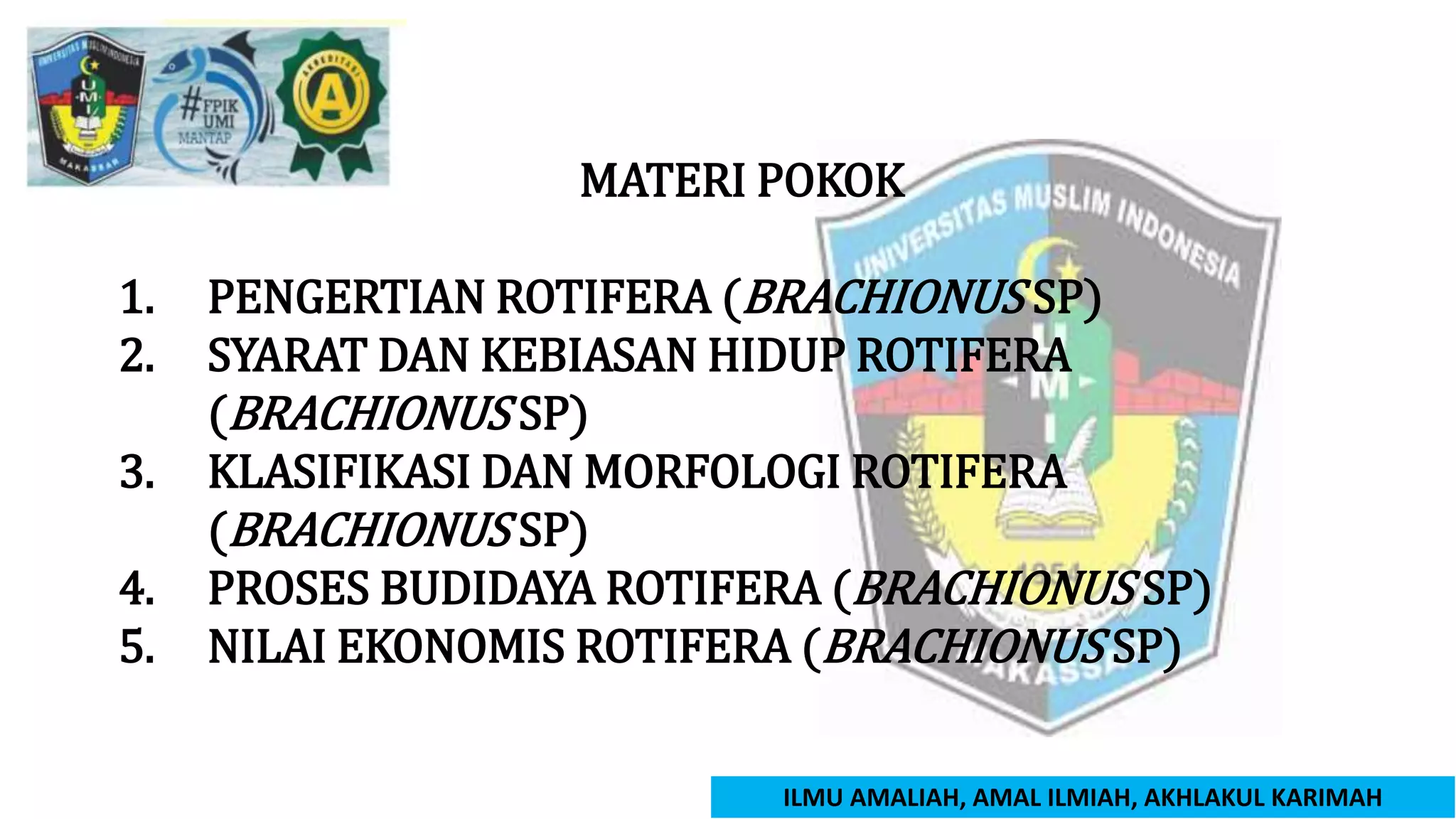 Budidaya Rotifera Brachionus sp.pptx