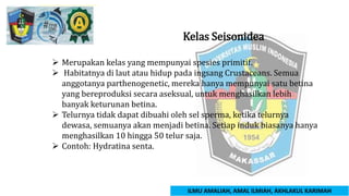 Budidaya Rotifera Brachionus sp.pptx