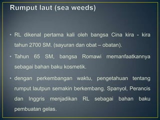 Budidaya rumput laut | PPTX