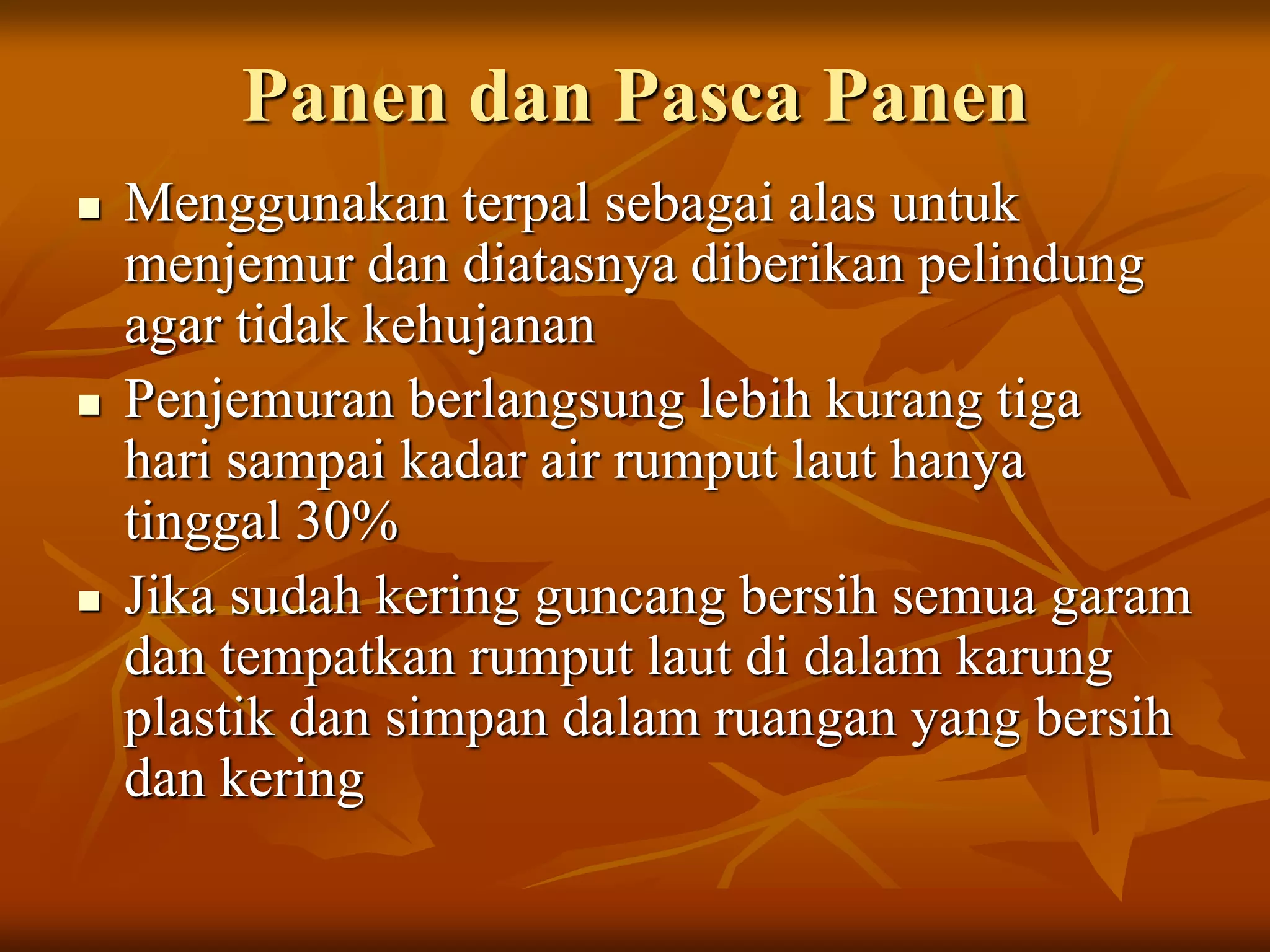 Budidaya Rumput Laut.ppt