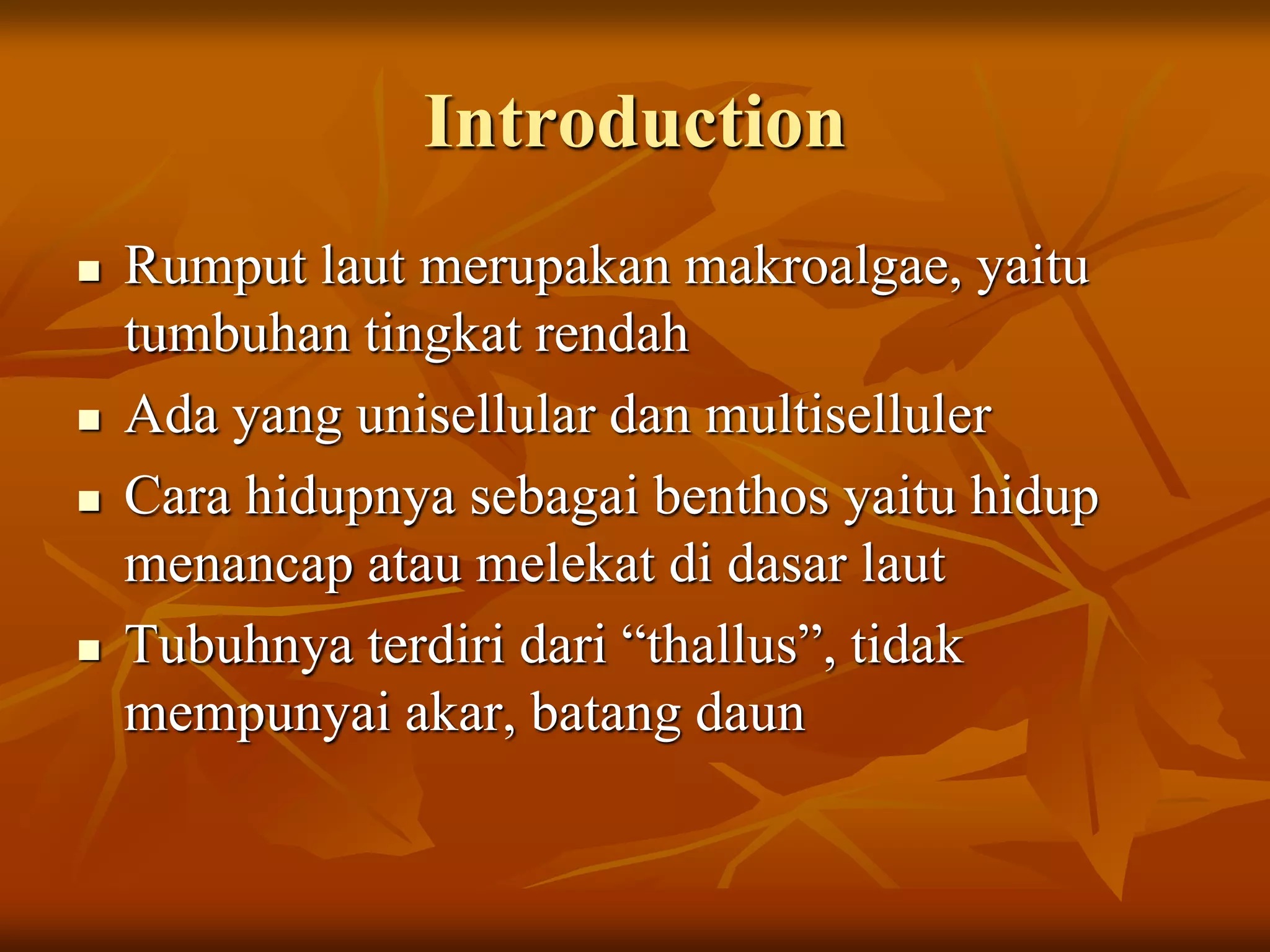 Budidaya Rumput Laut.ppt