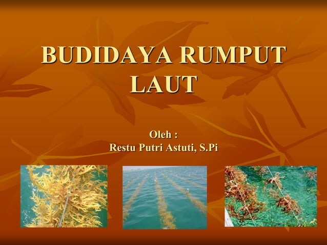 Budidaya Rumput Laut.ppt