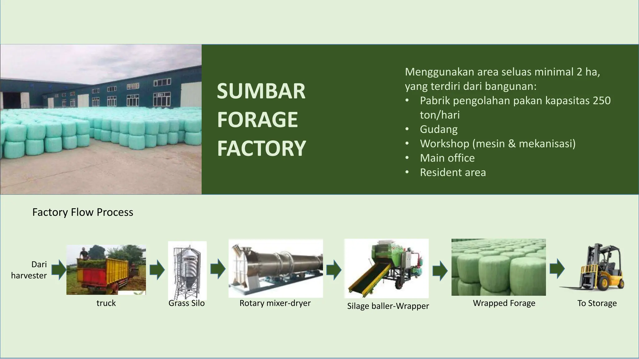 Proposal Budidaya Rumput Pakchong untuk pakan ternak | PPTX