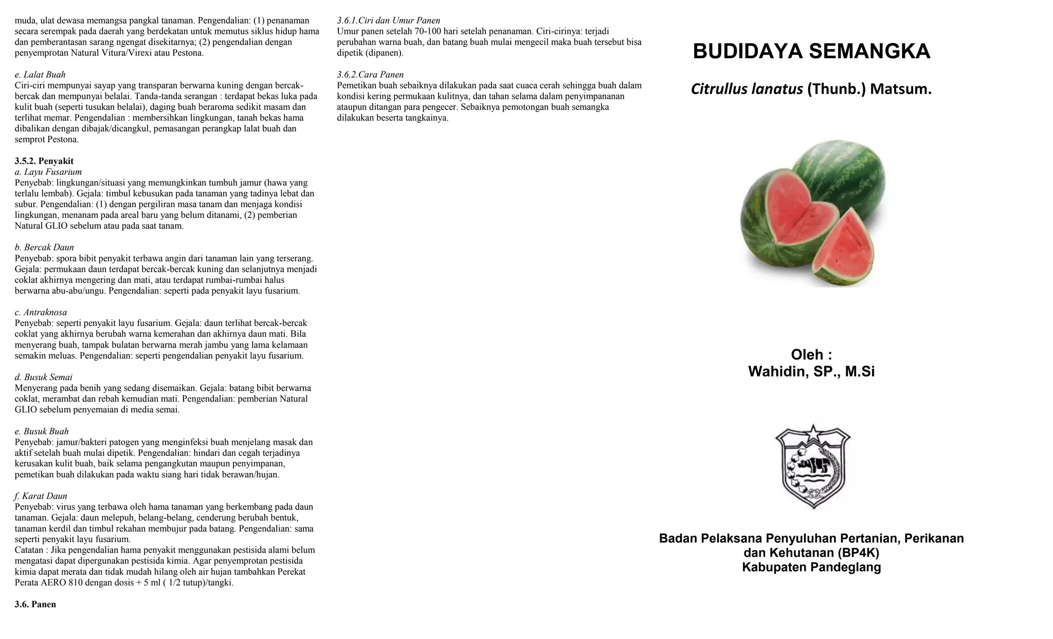 Budidaya semangka | DOCX