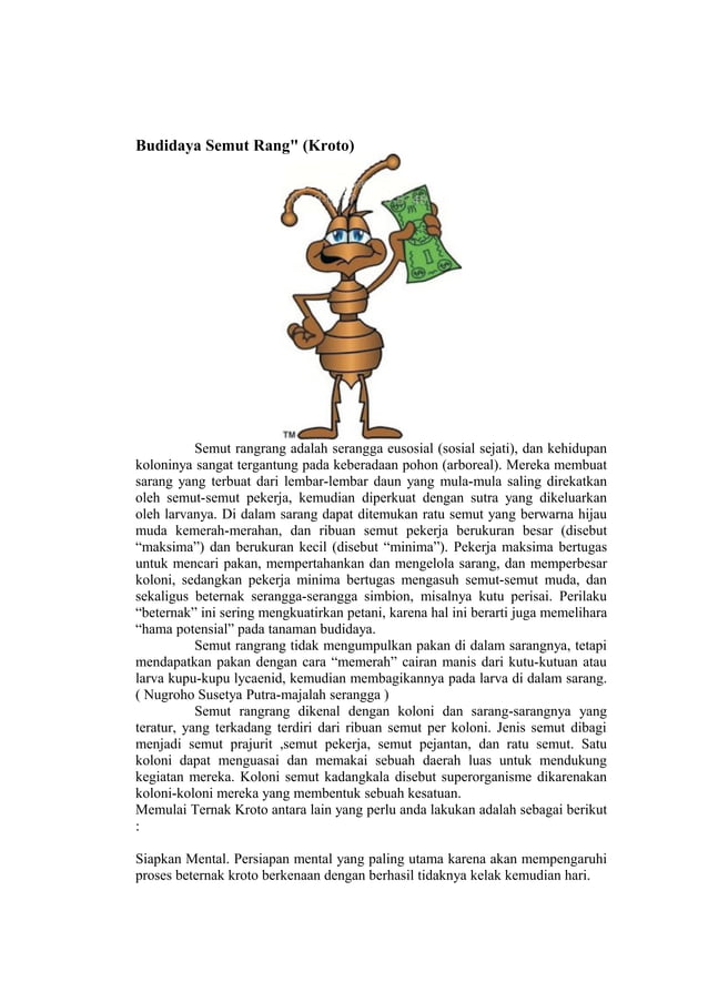 Budidaya semut rang | DOC