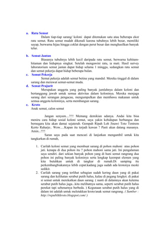 Budidaya semut rang | DOC