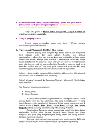 Budidaya semut rang | DOC