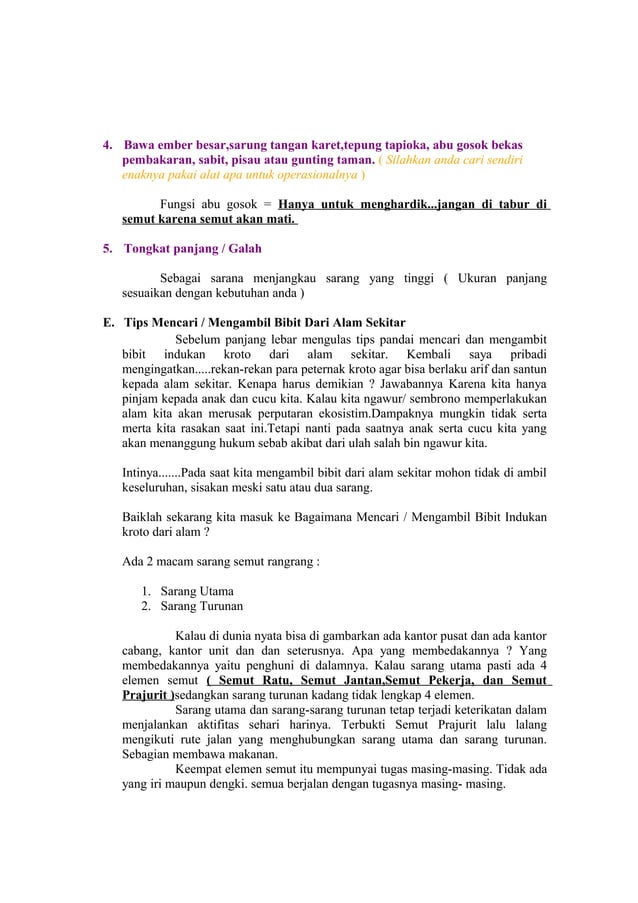 Budidaya semut rang | DOC