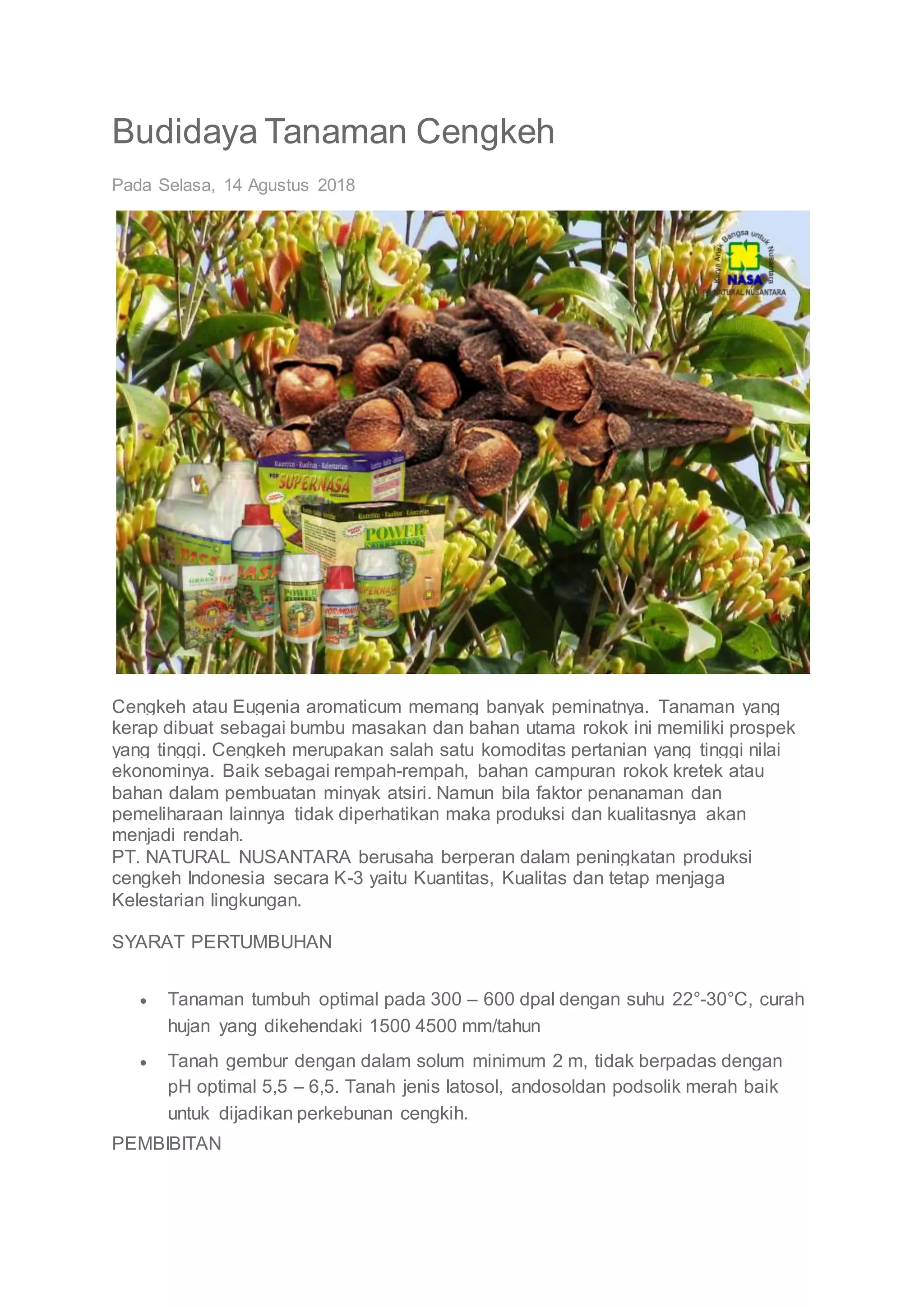 Budidaya tanaman cengkeh | DOCX