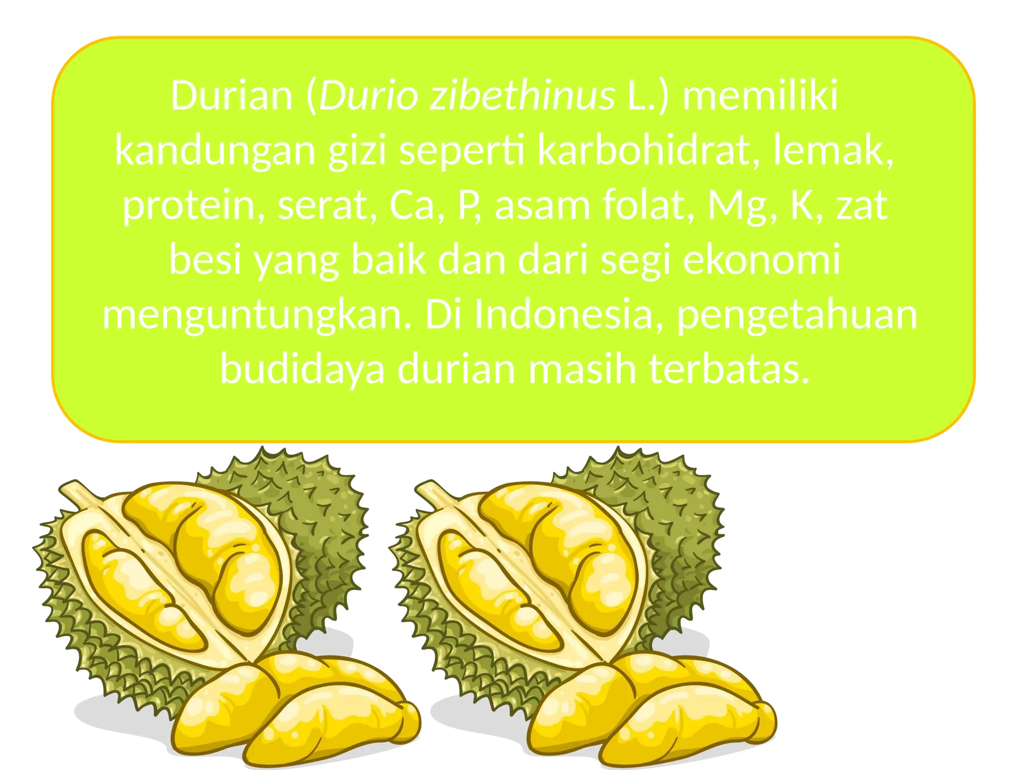 BUDIDAYA_TANAMAN_DURIAN FAKULTAS PERTANIAN UGM Yogyakarta | PPTX