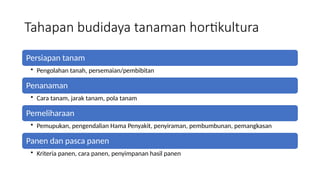 Teknik Budidaya Tanaman Hortikultura.pptx