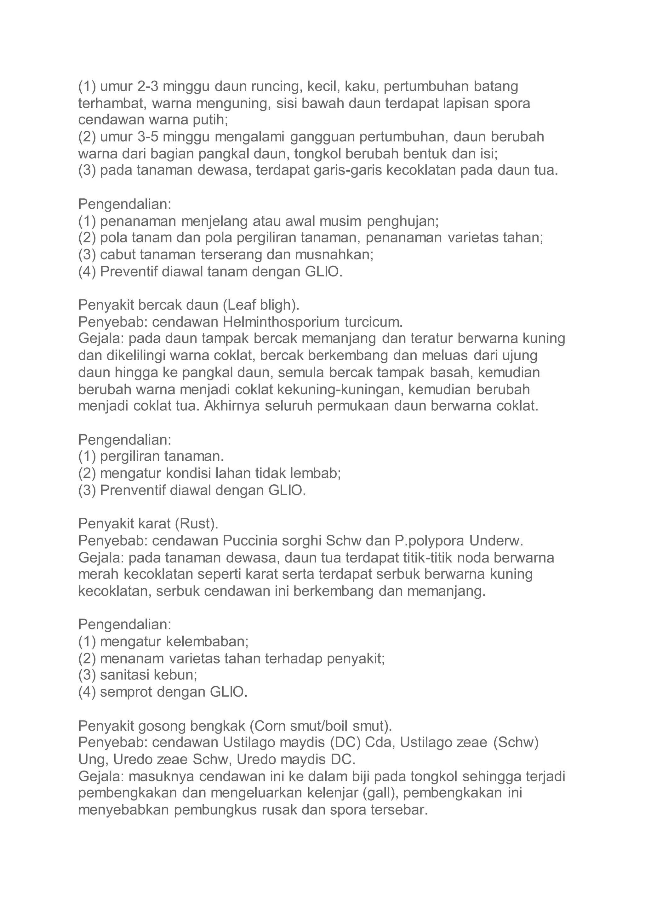 Budidaya tanaman jagung | DOCX