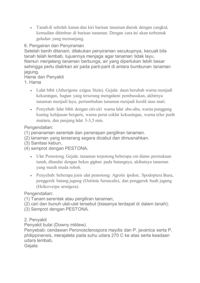 Budidaya Tanaman Jagung Pdf