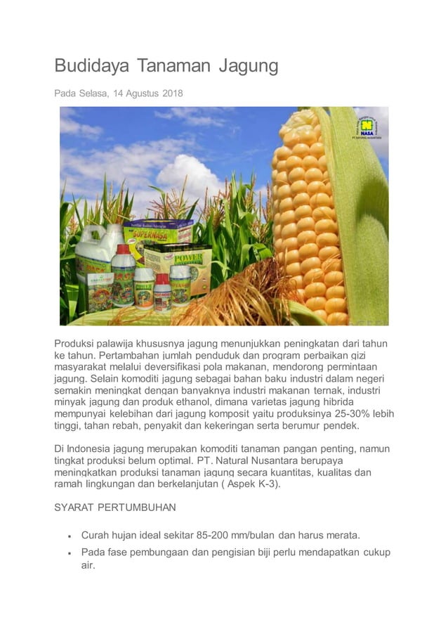 Budidaya Tanaman Jagung Pdf