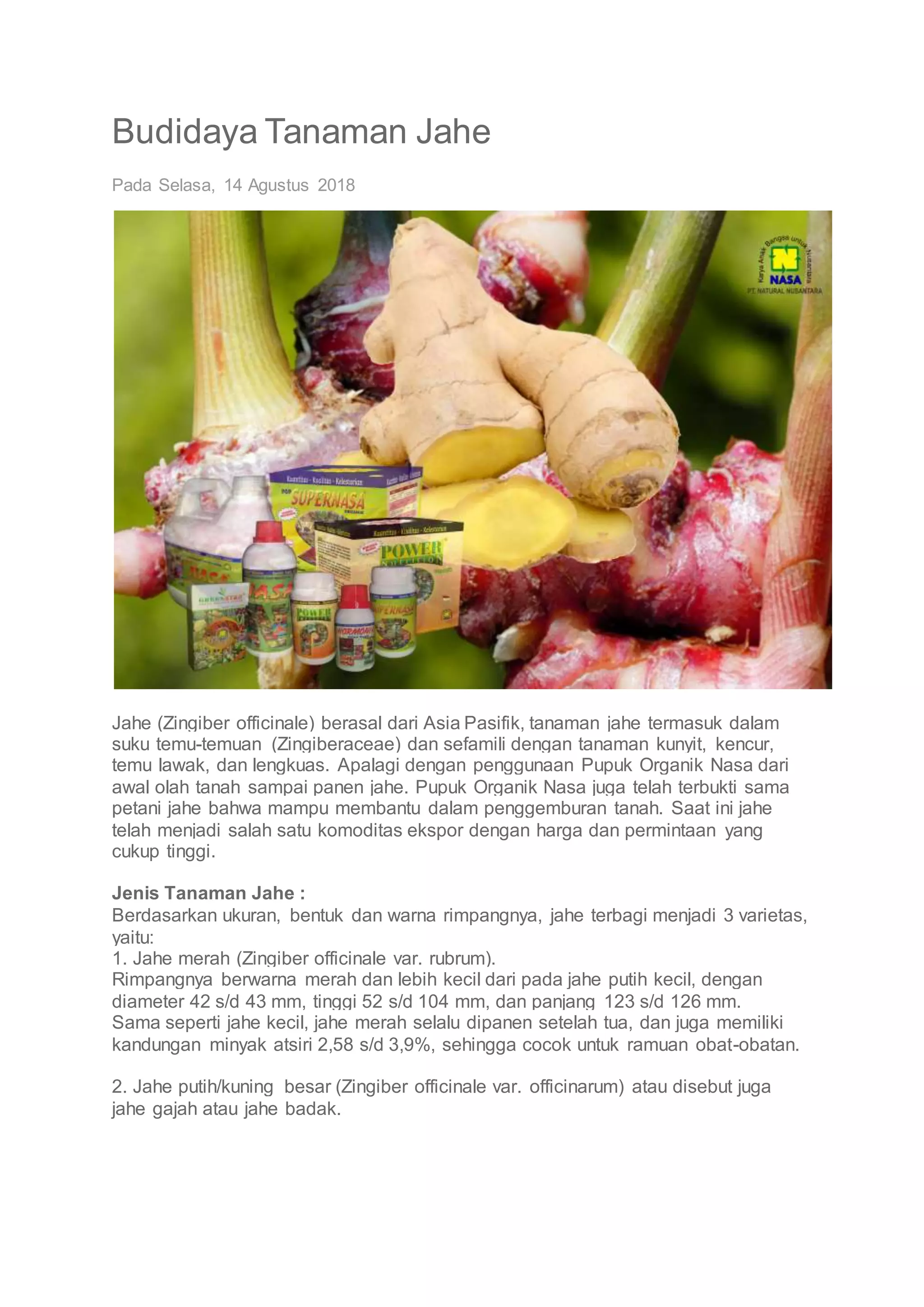 Budidaya tanaman jahe | PDF