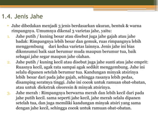 budidaya tanaman jahe untuk obat manusia | PPT