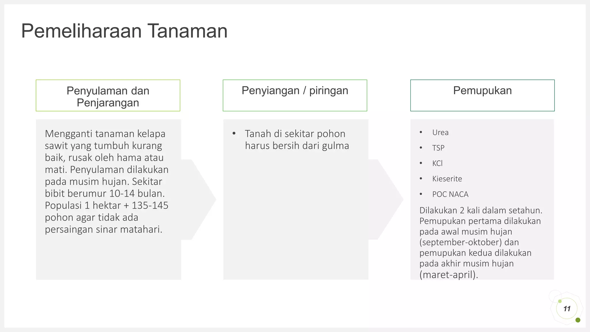 Budidaya tanaman kelapa sawit | PPTX