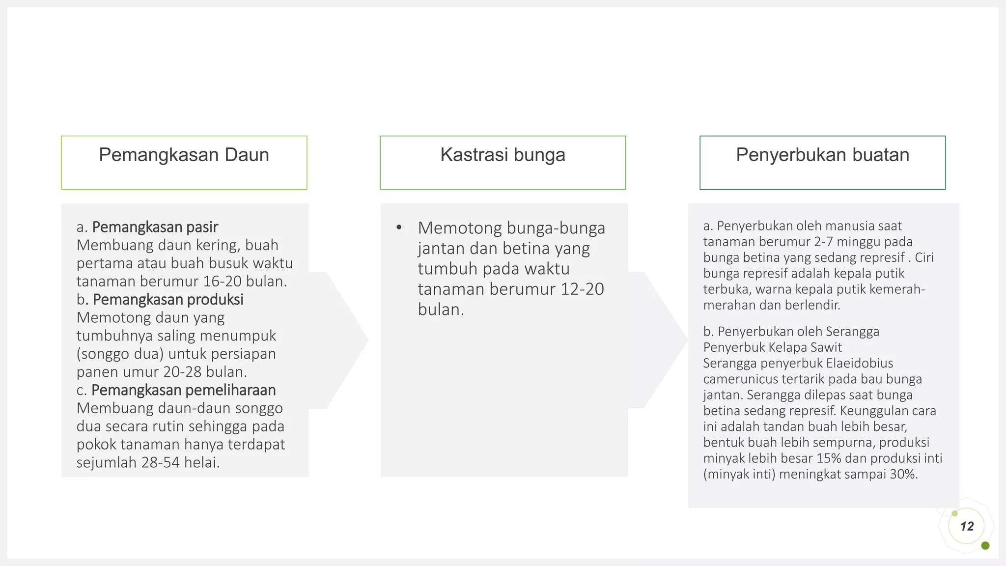 Budidaya tanaman kelapa sawit | PPTX
