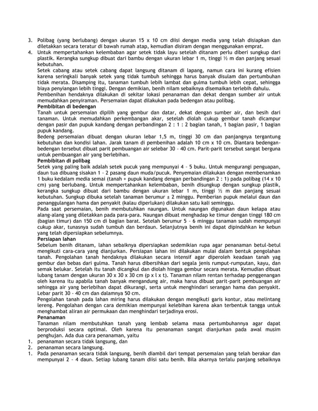 Budidaya Tanaman Nilam Docx