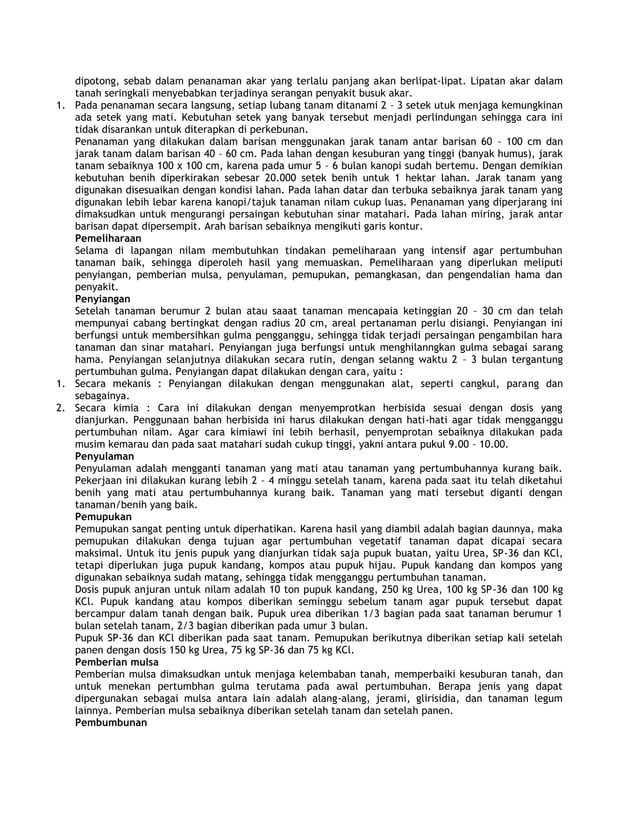 Budidaya Tanaman Nilam Docx