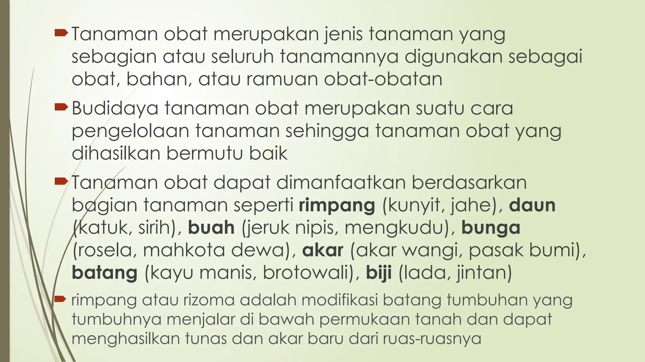 budidaya tanaman obat keluarga sehat indonesia.pptx