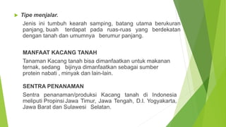 BUDIDAYA TANAMAN PANGAN DAN PALAWIJA.pptx