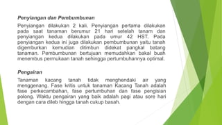 BUDIDAYA TANAMAN PANGAN DAN PALAWIJA.pptx