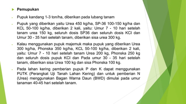 BUDIDAYA TANAMAN PANGAN DAN PALAWIJA.pptx