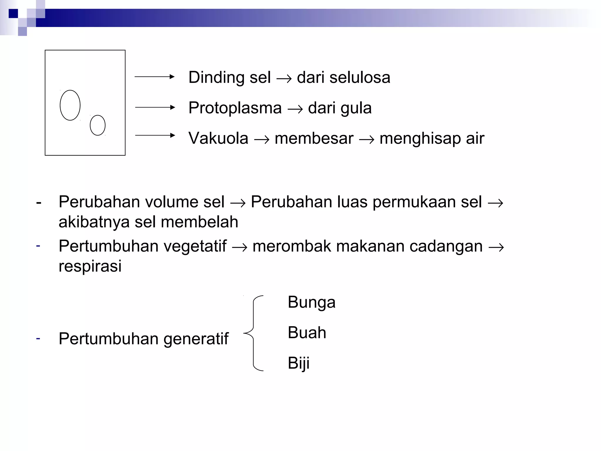 Budidaya tanaman semusim | PPT