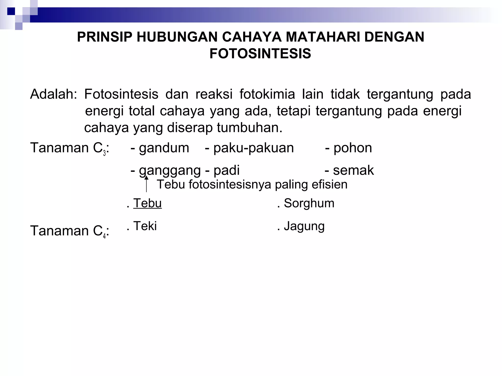 Budidaya tanaman semusim | PPT