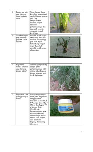 Budidaya tanaman utama | DOCX