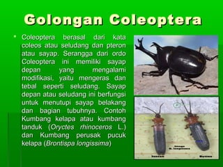 Budidaya tanman kelapa | PPT