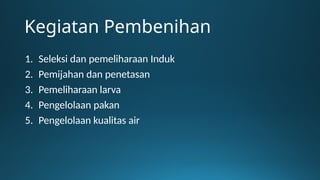 Budidaya Teripang sebagai komoditas budidaya laut | PPTX