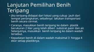 Budidaya Teripang sebagai komoditas budidaya laut | PPTX