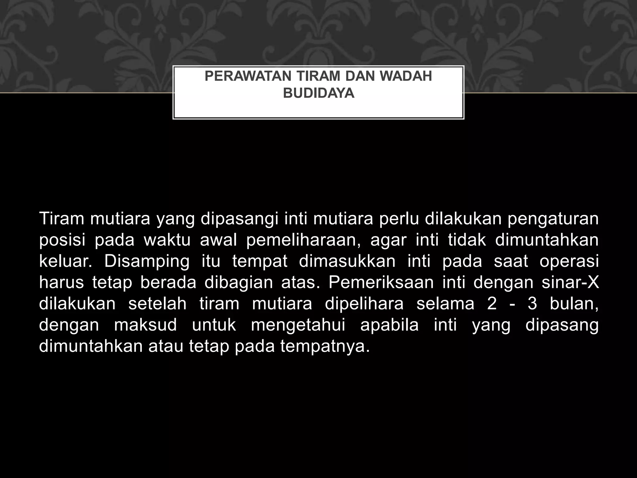 Budidaya tiram mutiara | PPTX