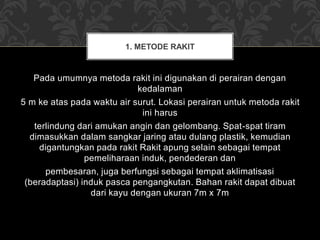 Budidaya tiram mutiara | PPTX