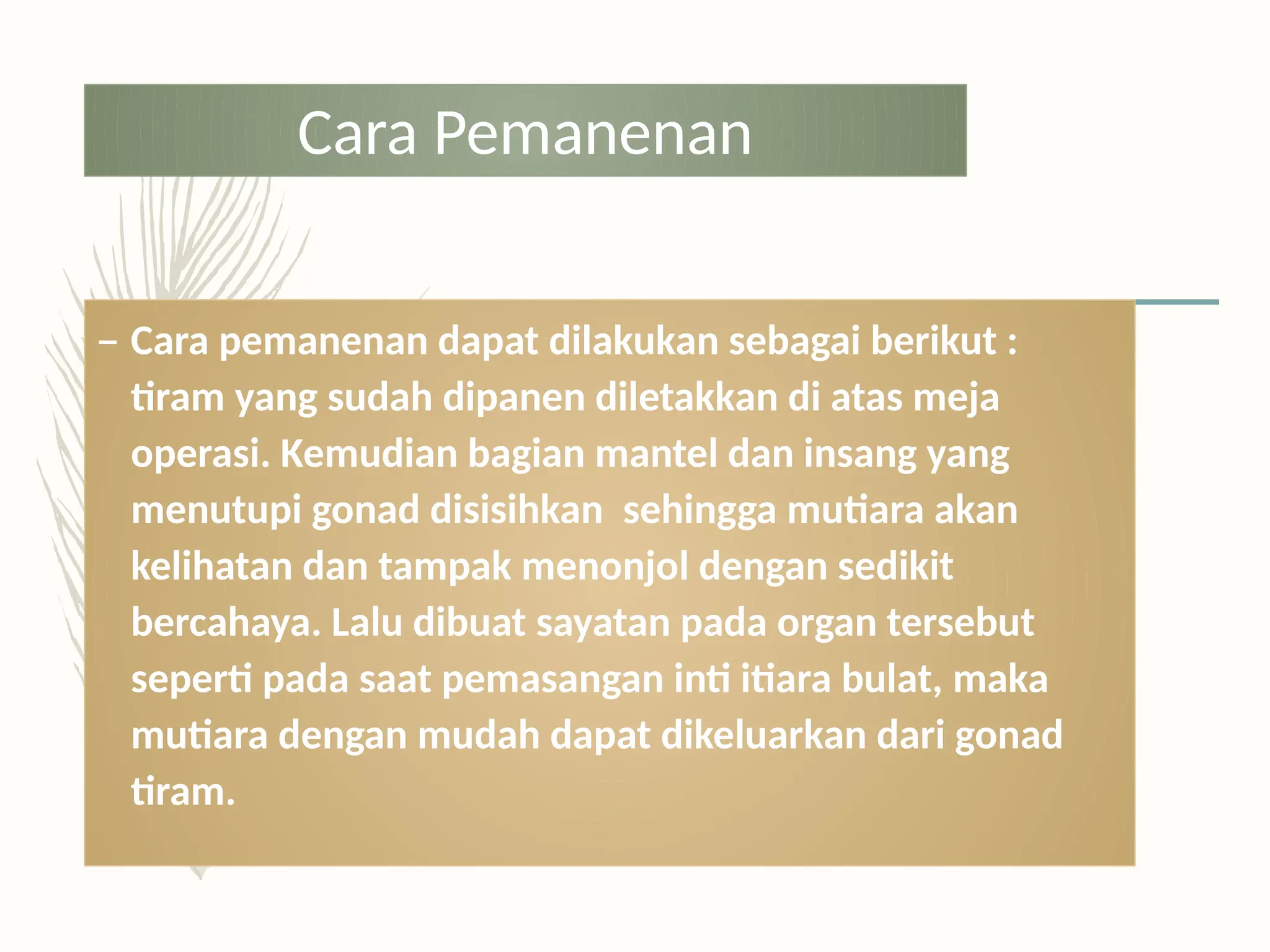 MANAJEMEN BUDIDAYA LAUT TIRAM MUTIARA.pptx