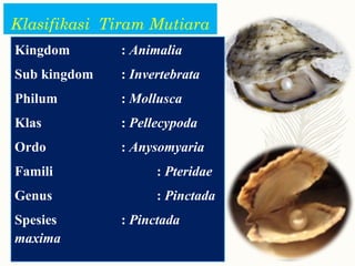 MANAJEMEN BUDIDAYA LAUT TIRAM MUTIARA.pptx