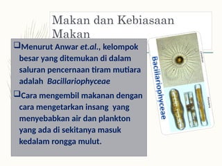 MANAJEMEN BUDIDAYA LAUT TIRAM MUTIARA.pptx