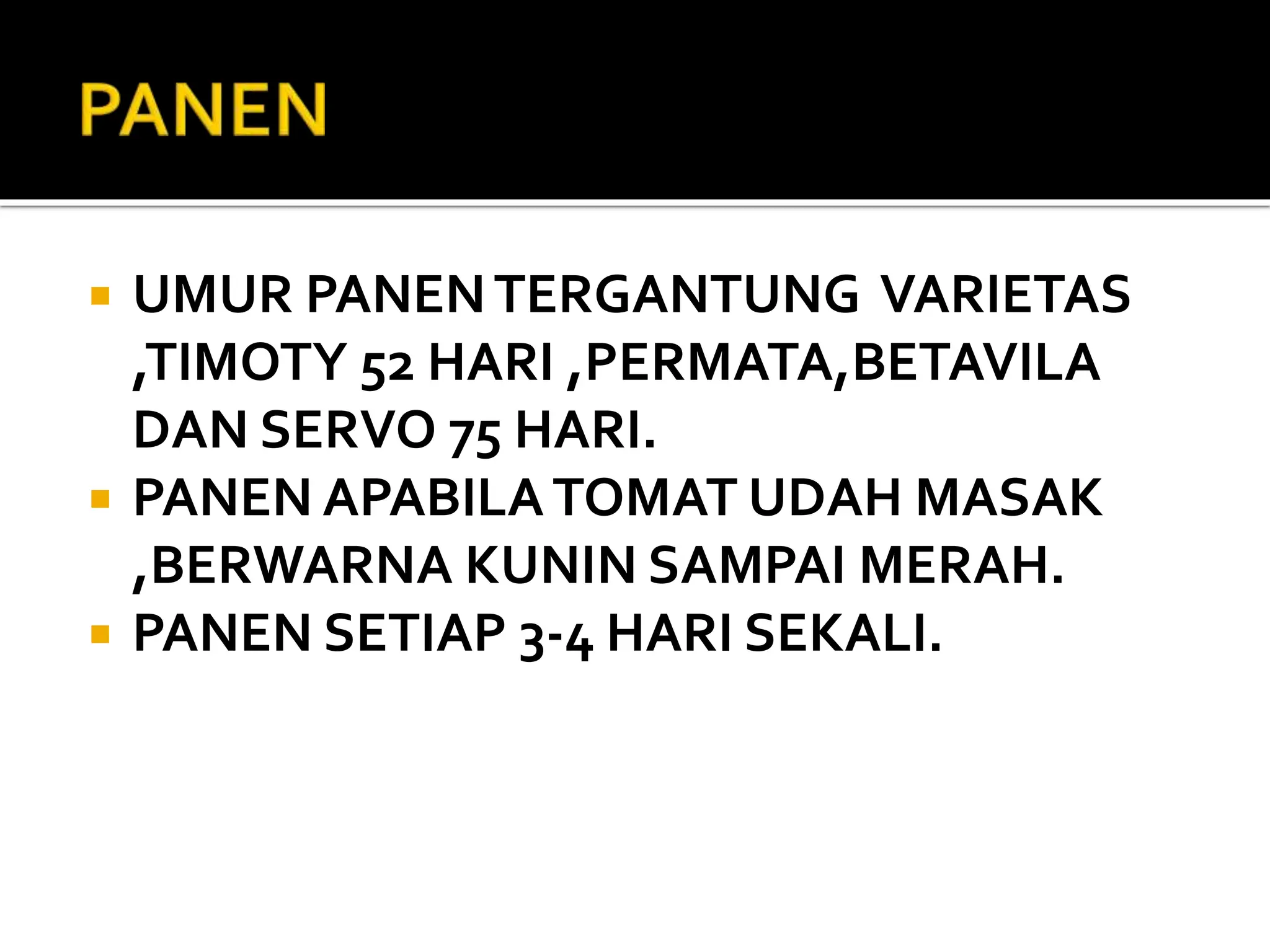 BUDIDAYA TOMAT PRA TANAM SAMPAI DENGAN PASCA PANEN.pptx