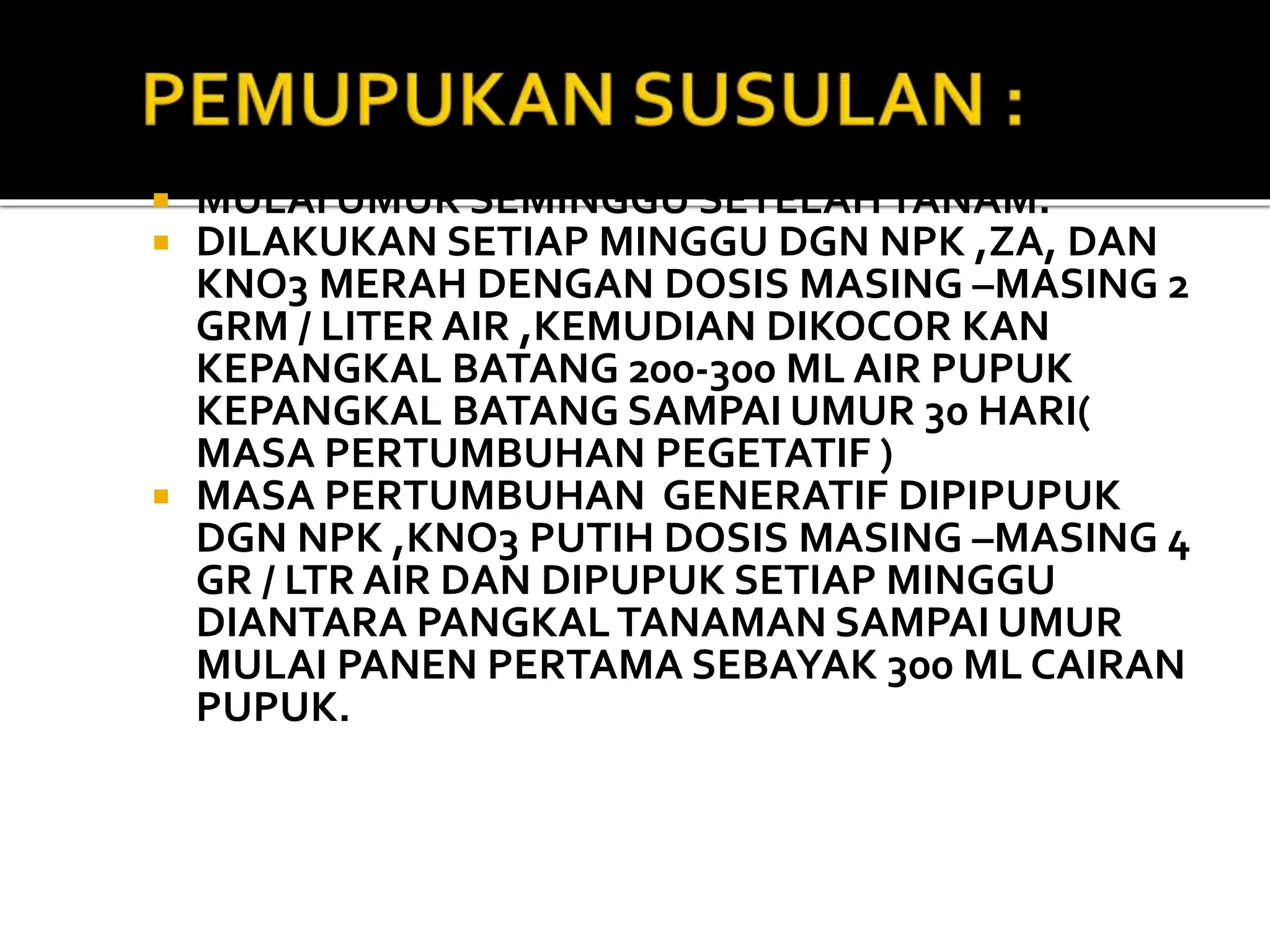 BUDIDAYA TOMAT PRA TANAM SAMPAI DENGAN PASCA PANEN.pptx