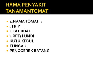 BUDIDAYA TOMAT PRA TANAM SAMPAI DENGAN PASCA PANEN.pptx