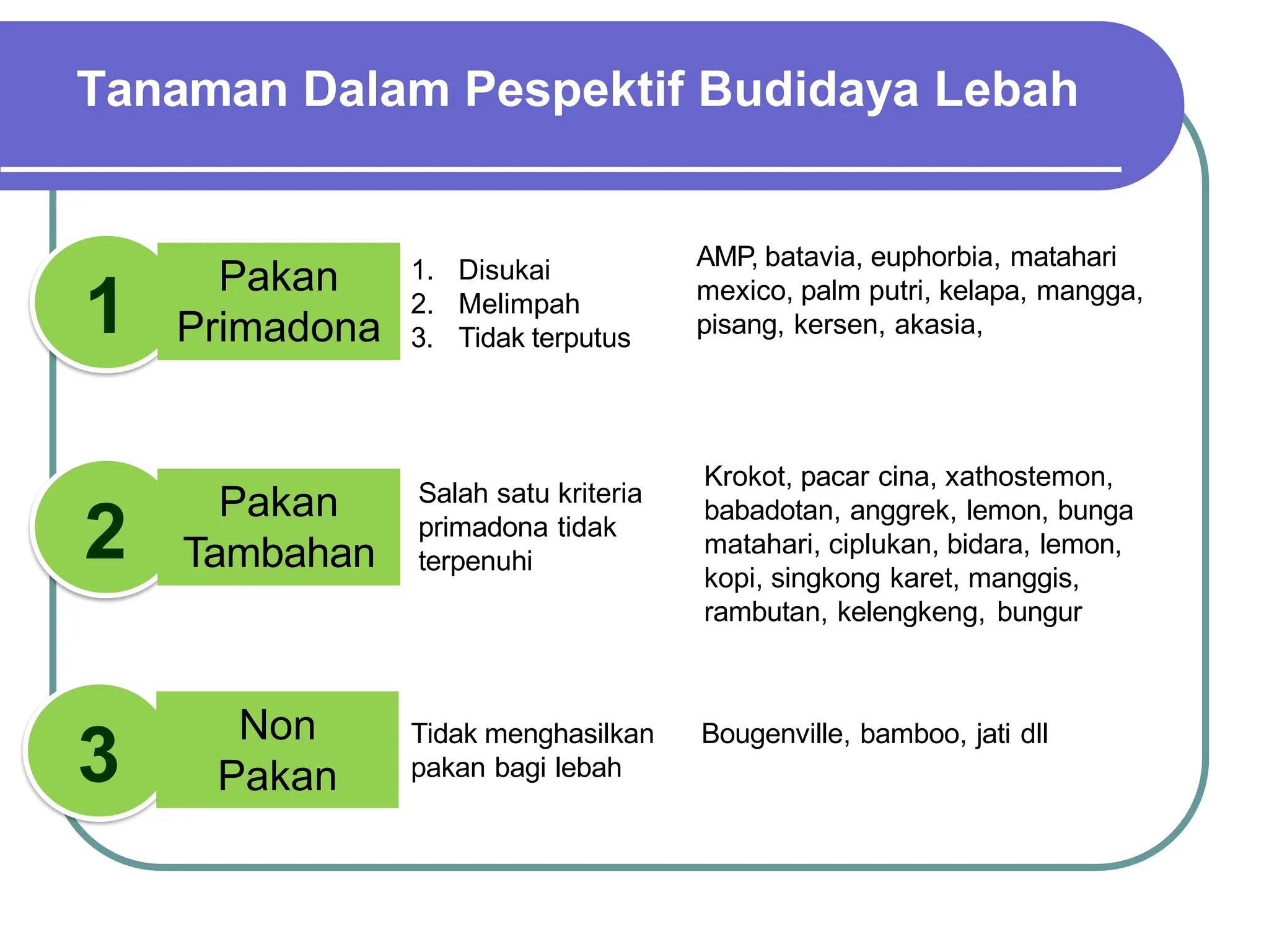 Budidaya Trigona yaitu Jenis lebah tanpa Sengat | PPT