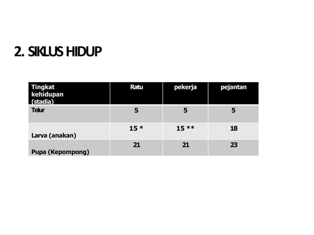 Budidaya Trigona yaitu Jenis lebah tanpa Sengat | PPT